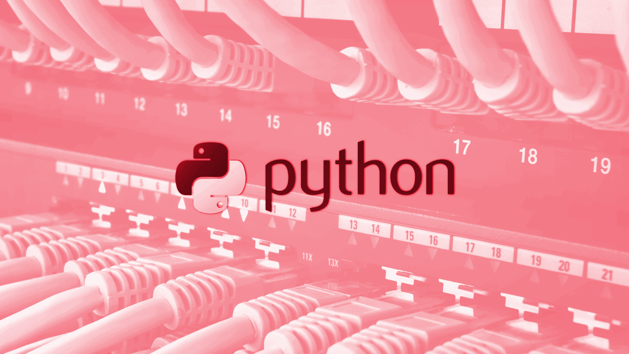 Building A Custom Network Sniffer In Python – peerdh.com