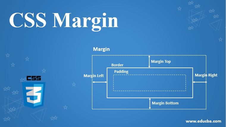 Understanding Css Margin: The Space Between Elements – peerdh.com