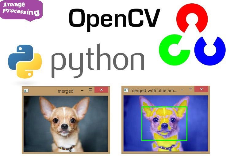 Real-time Object Detection With Tensorflow And Yolo – peerdh.com