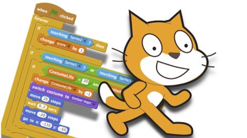 Understanding Scratch: A Beginner's Guide To Programming Languages – peerdh.com