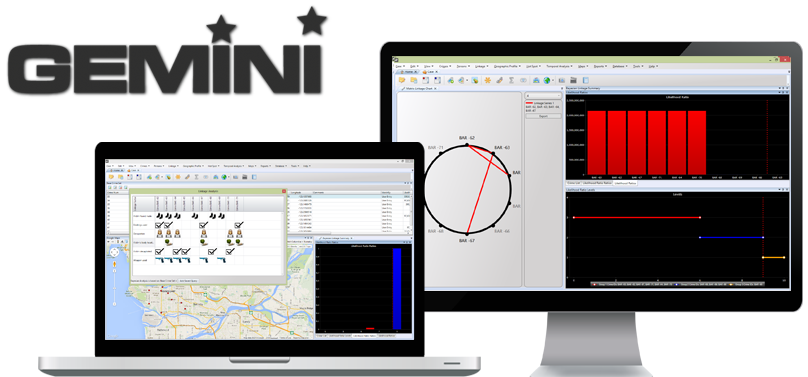 Gemini Programming: A Comprehensive Guide – peerdh.com