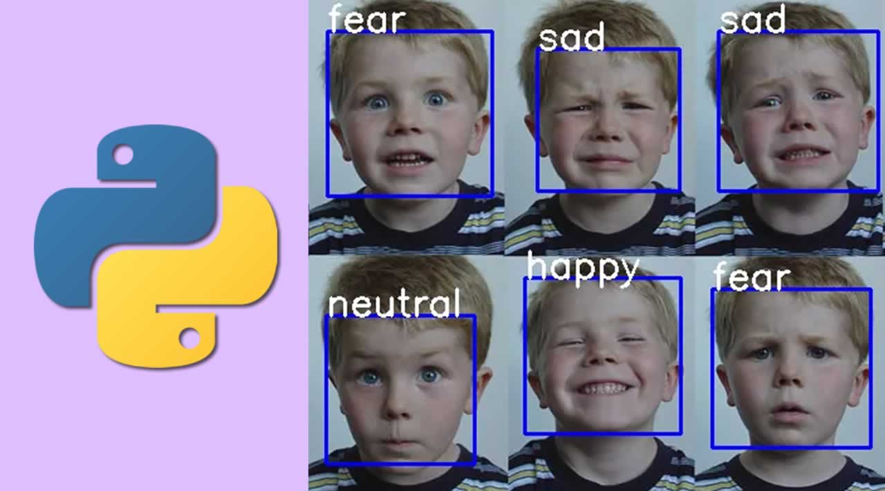 Building A Real-time Emotion Detection System Using A Webcam – peerdh.com