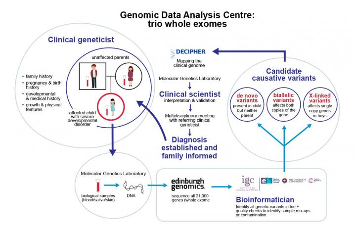 Building A Data Visualization Tool For Genomic Research – peerdh.com