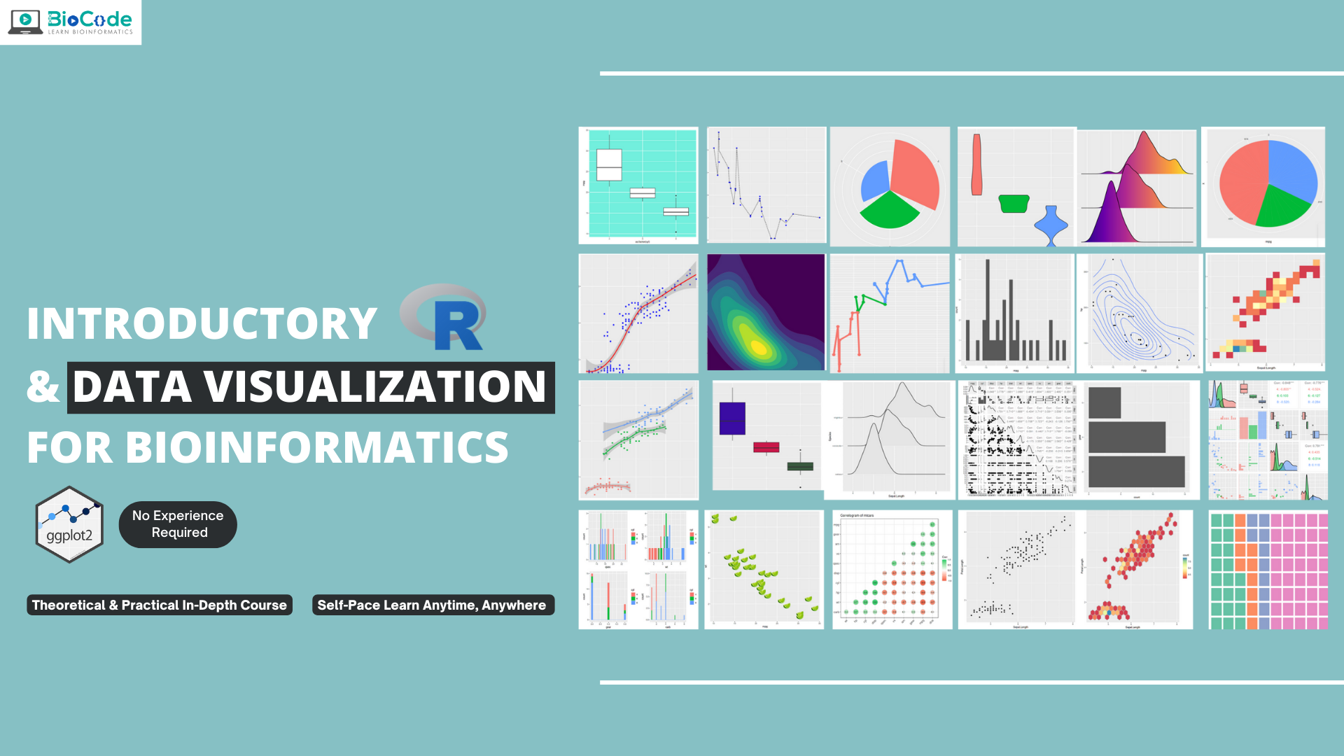 Building A Data Visualization Tool For Bioinformatics Software – peerdh.com