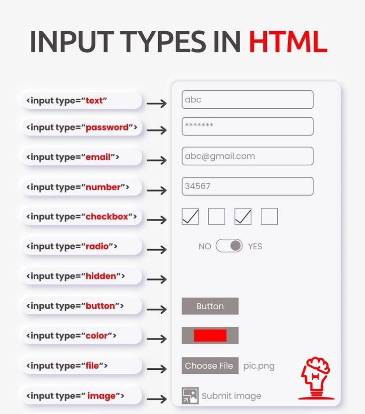 Understanding The Html Input Text Element – peerdh.com