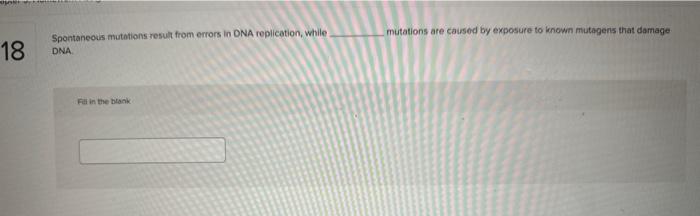 Understanding Authorization Errors In Mutations: A Comprehensive Guide – peerdh.com