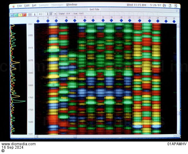 Creating A Simple Python Script For Dna Sequence Analysis