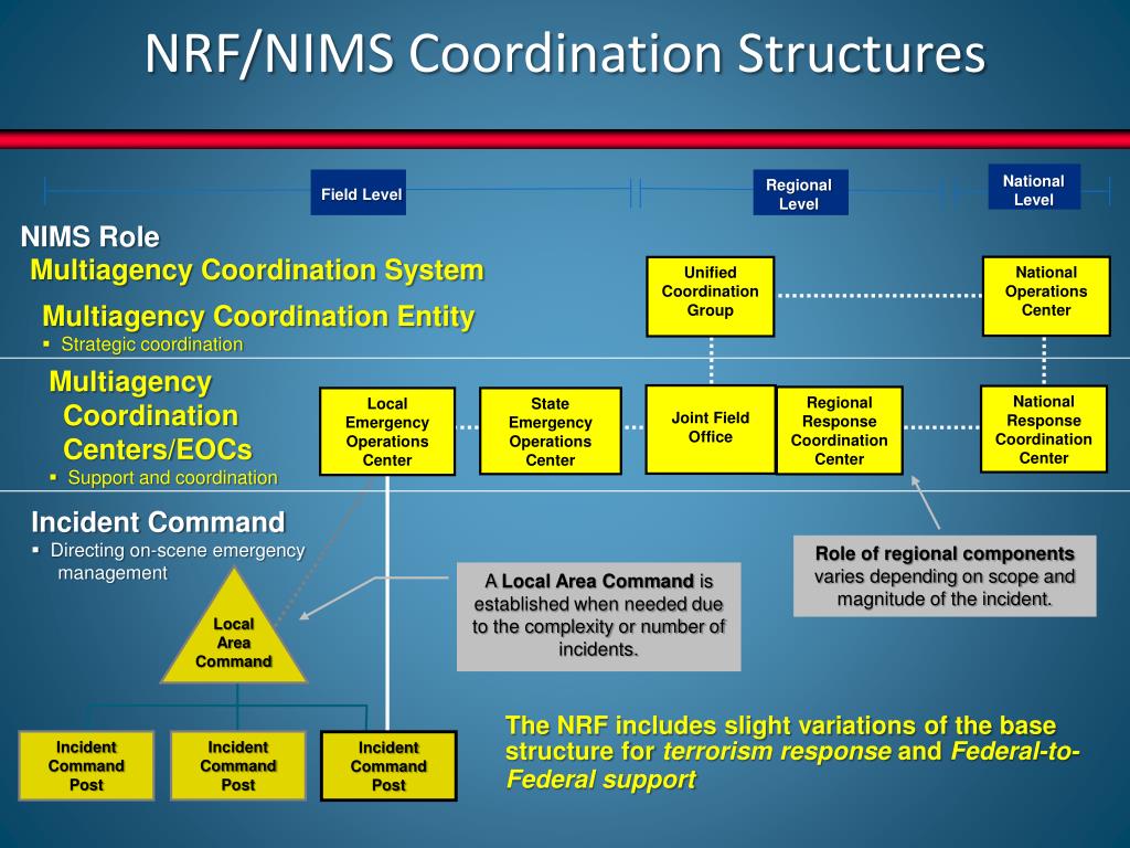 Nims Concurrency Model For Web Server Performance – peerdh.com