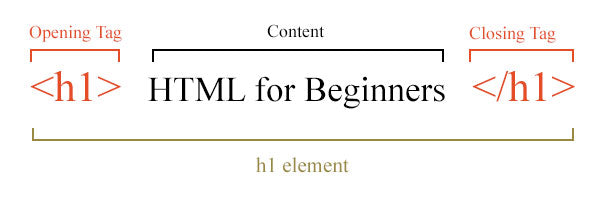 Understanding The Html Portal Element: A New Way To Manage Content – peerdh.com