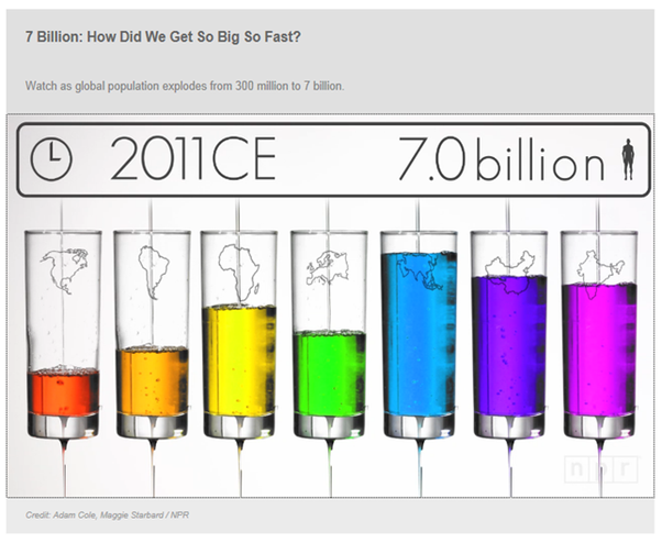 Creating Dynamic Data Visualizations With Processing – peerdh.com