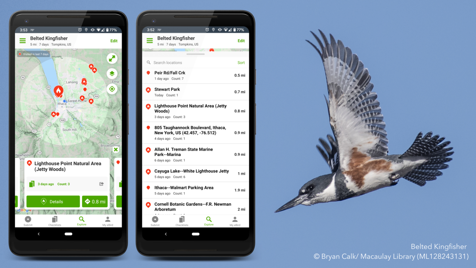 Understanding The Ebird Website – peerdh.com