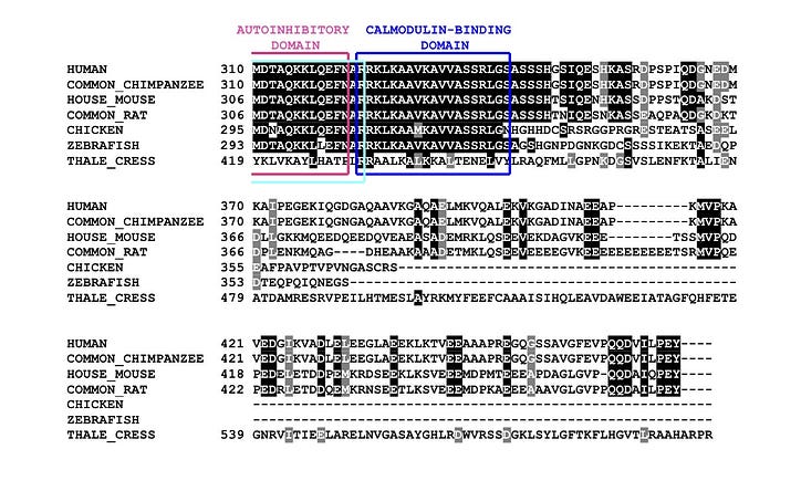 Building A Visualization Tool For Protein Structure Analysis Using Pyt – peerdh.com