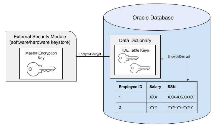 Implementing Transparent Data Encryption In Sql Databases – peerdh.com