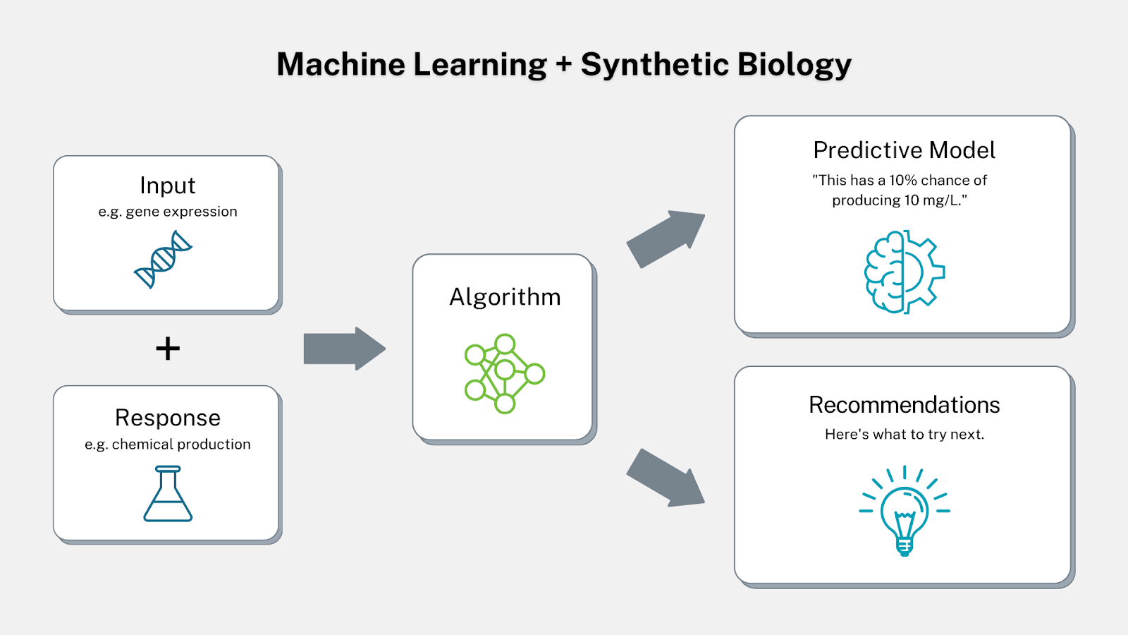 Developing A Framework For Benchmarking Machine Learning Models In Bio – peerdh.com