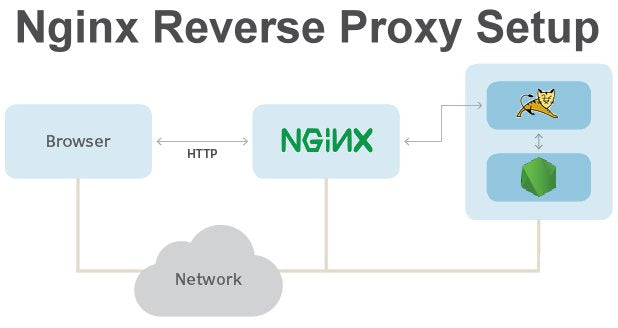 Setting Up A Load Balancer With Nginx In A Docker Environment – peerdh.com