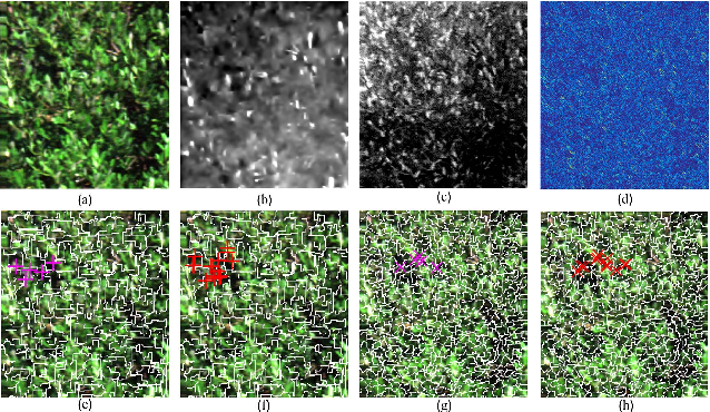 Integrating Reinforcement Learning With Transfer Learning For Game Ai – peerdh.com