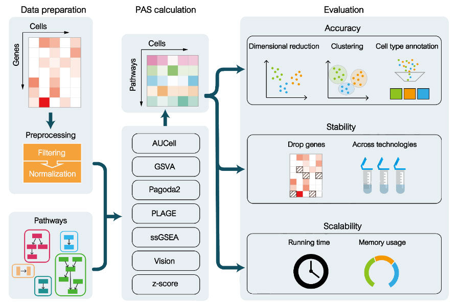 Analyzing Performance Metrics Of Sorting Algorithms Across Various Pro – peerdh.com