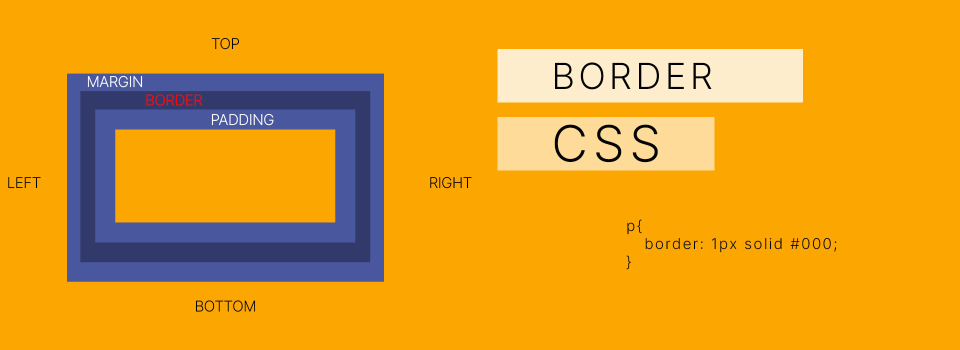 Understanding Css Border-block-end – peerdh.com