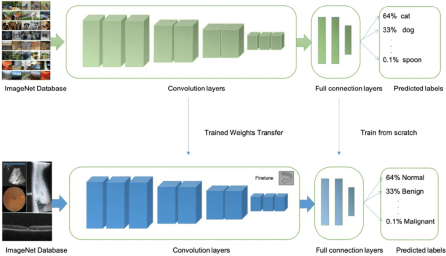 Implementing Transfer Learning With Pretrained Models In Opencv – peerdh.com