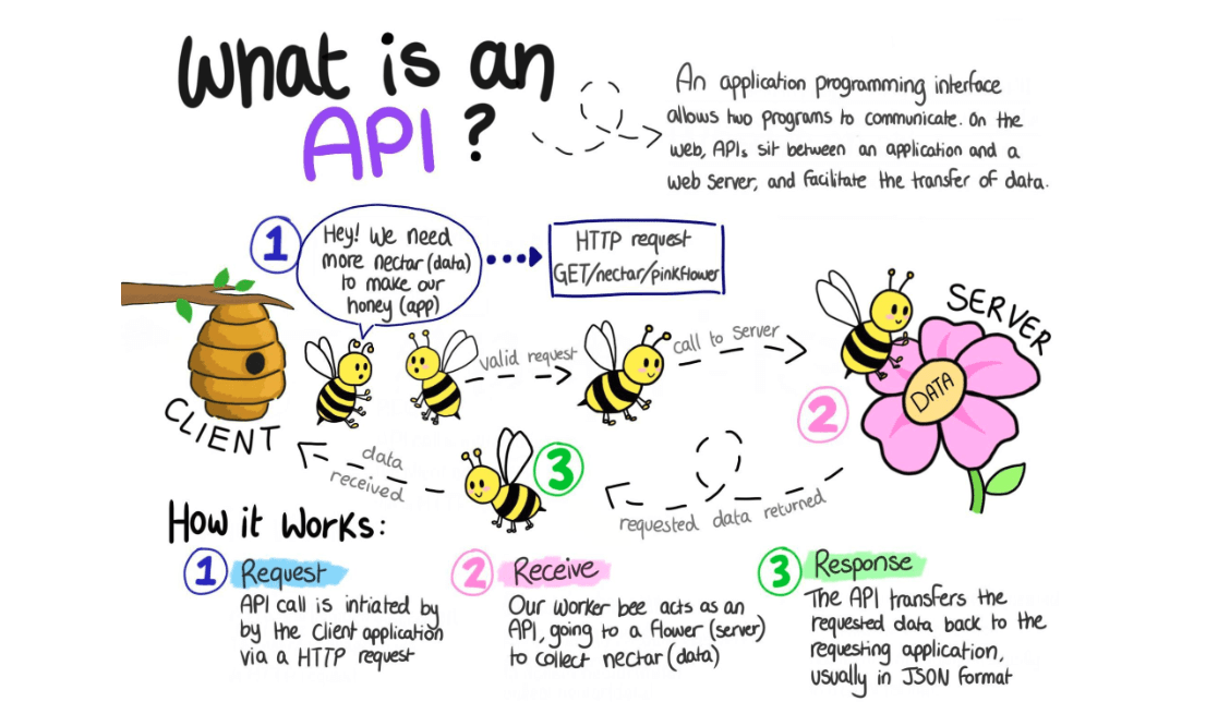 Understanding Apis: The Backbone Of Modern Software Development – peerdh.com
