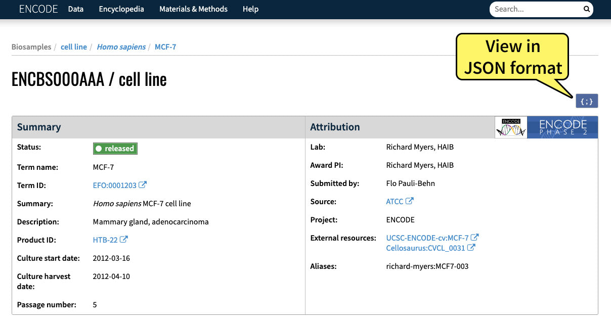 Understanding The Textencoderstream Api – peerdh.com