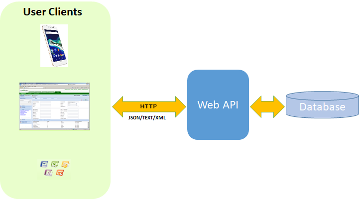 Understanding Fragmentdirective In Web Api – peerdh.com