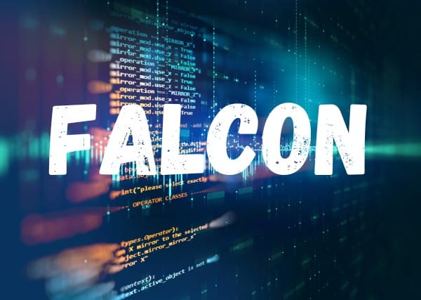 Beginner-friendly Falcon Projects List – peerdh.com