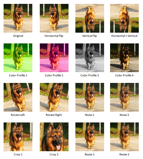 A Guide To Transfer Learning For Image Classification – peerdh.com