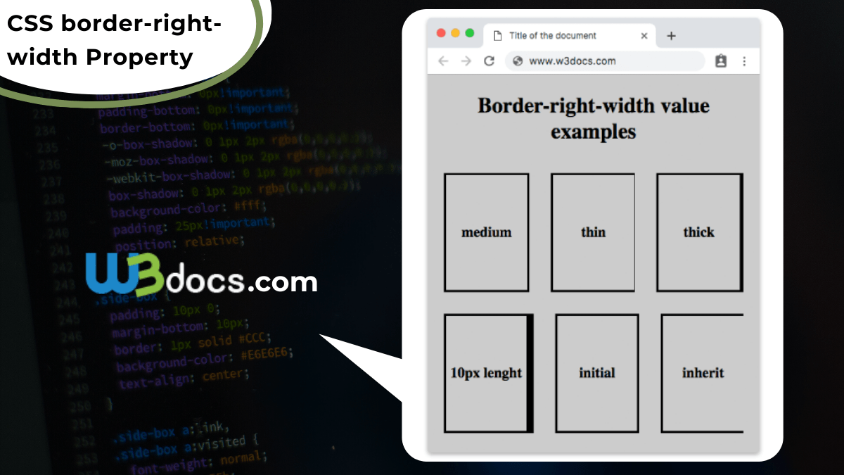 Understanding Css Border-right-width – peerdh.com