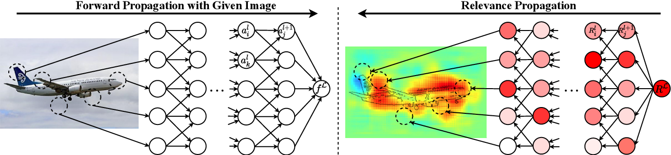 Adaptive Pruning Algorithms For Dynamic Model Optimization – peerdh.com