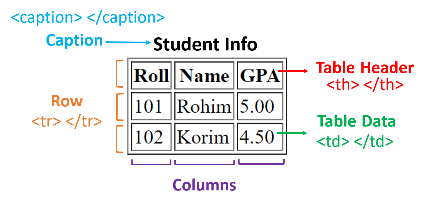 Understanding The Html Table Element – peerdh.com