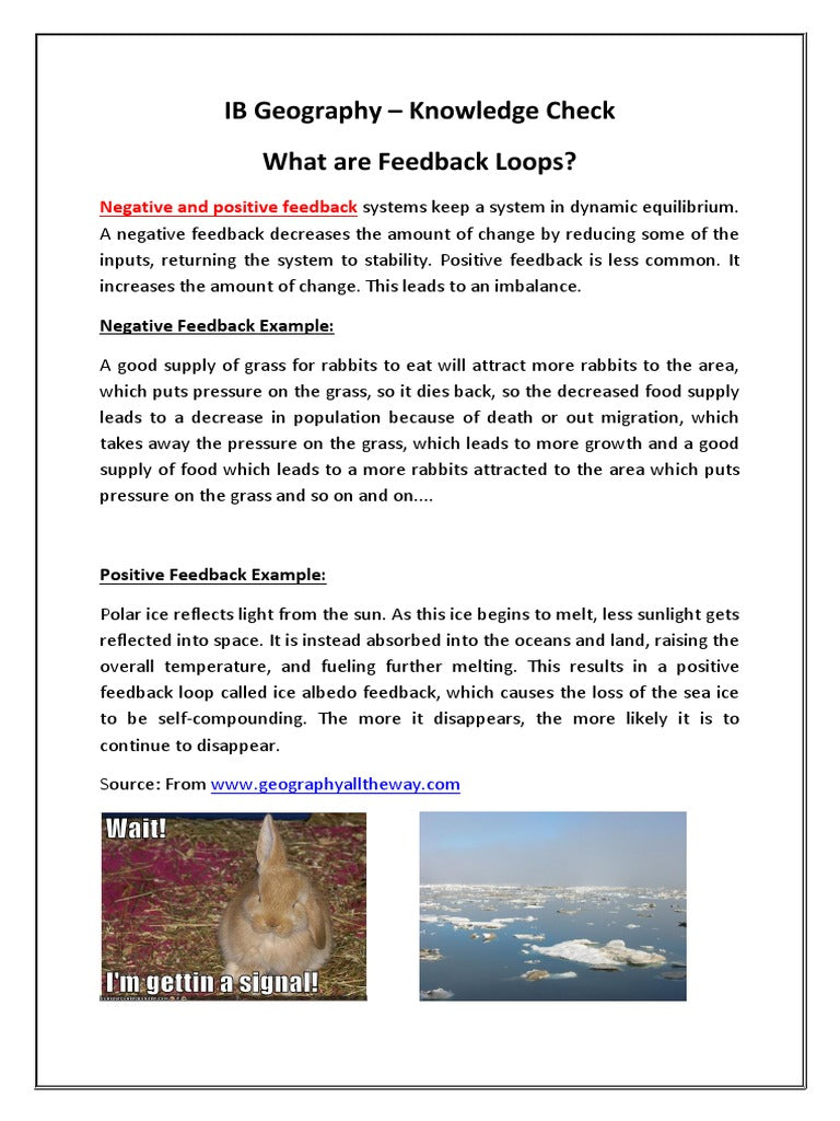 Building A Robust System For Continuous Improvement In Data Labeling – peerdh.com