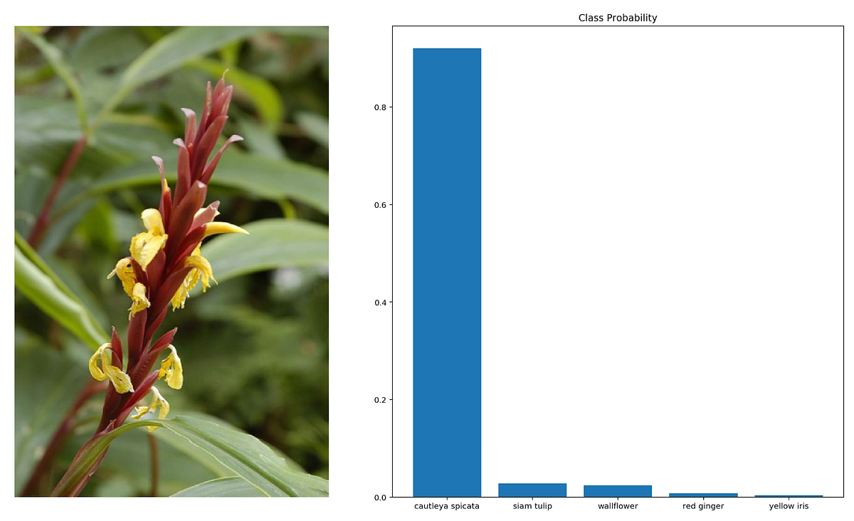 Benchmarking Inference Speed Across Image Classification Models In Ten – peerdh.com