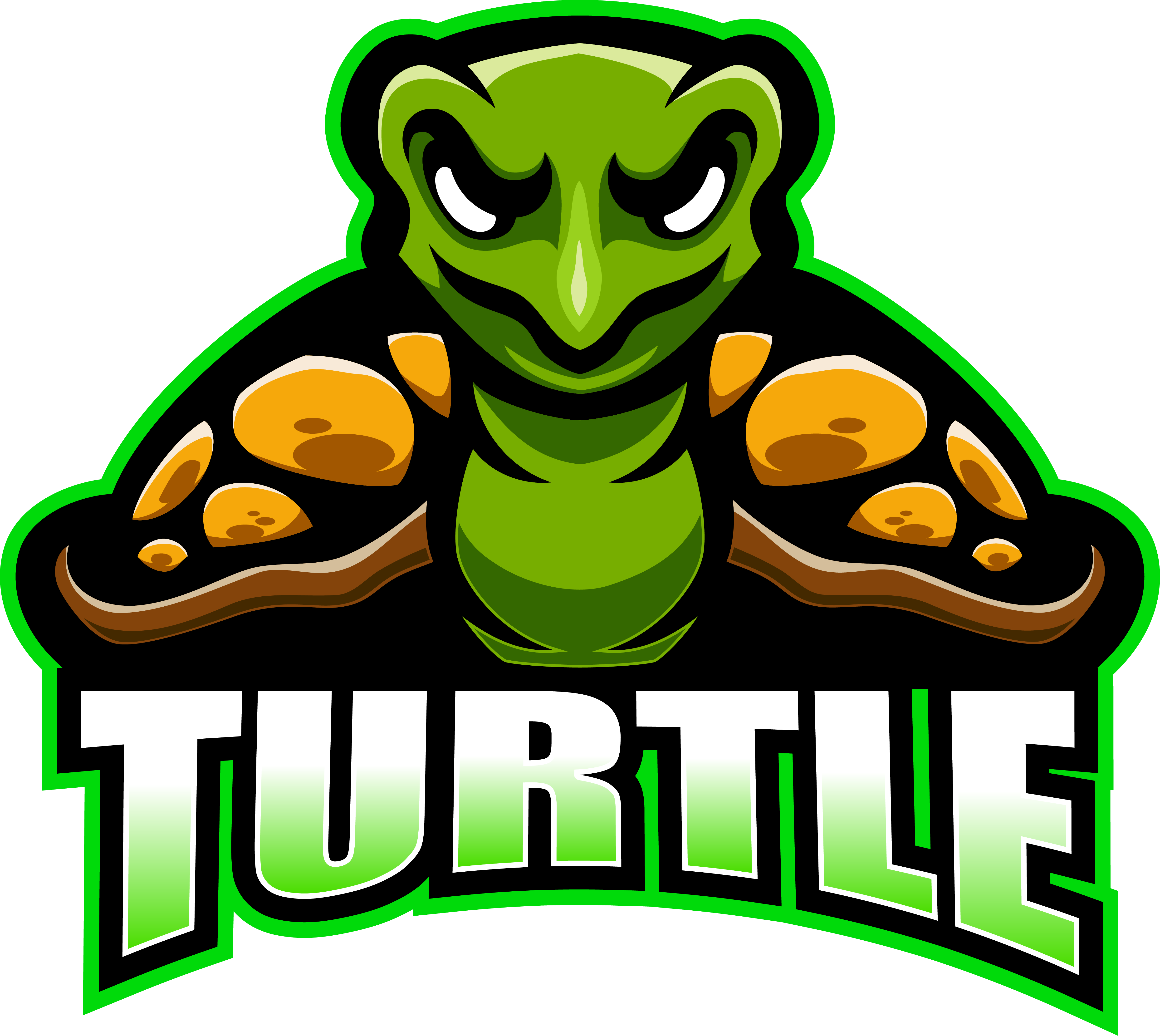 Step-by-step Turtle Logo Design Guide For Beginners – peerdh.com