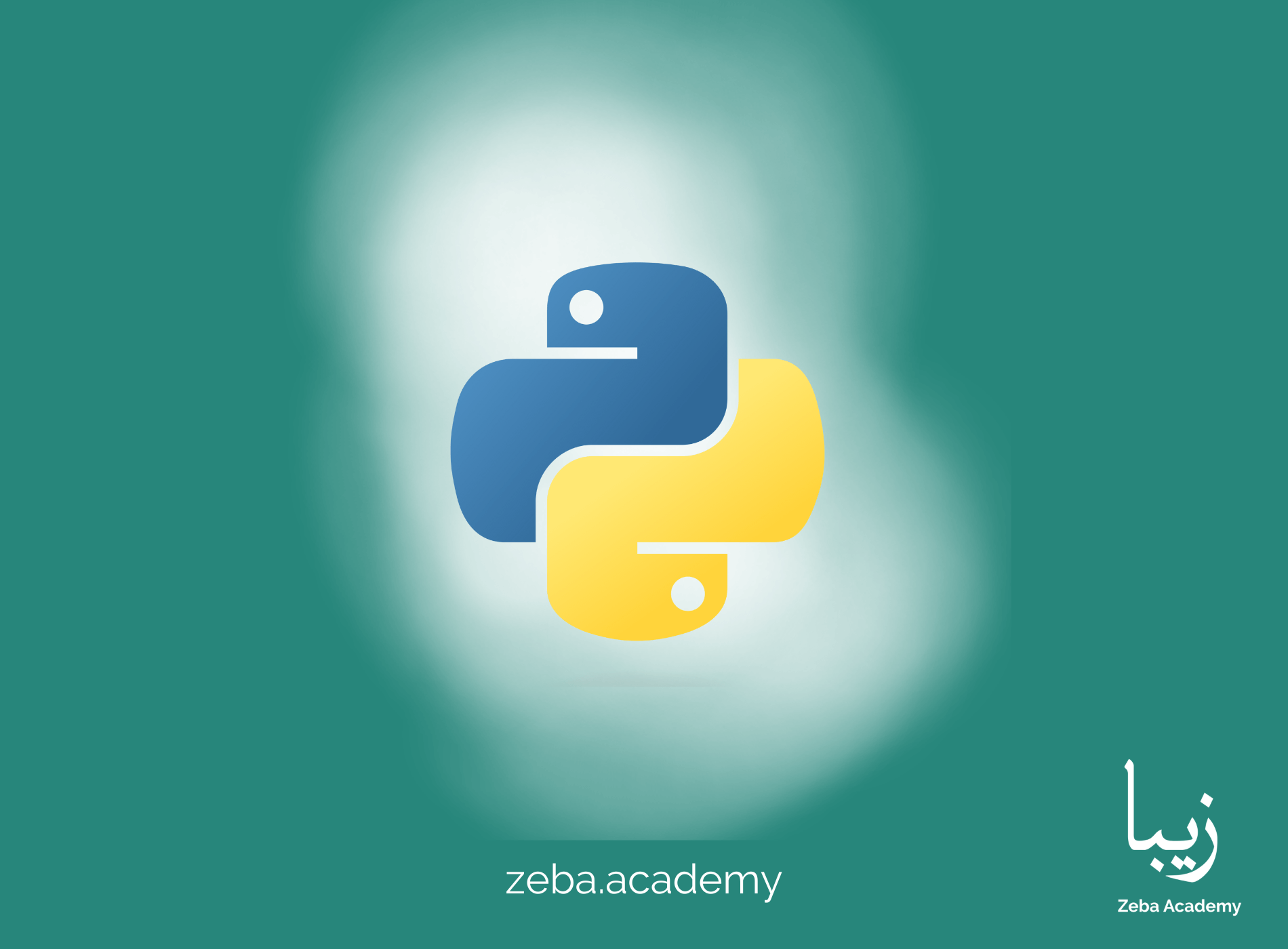 Understanding Python Basics – peerdh.com