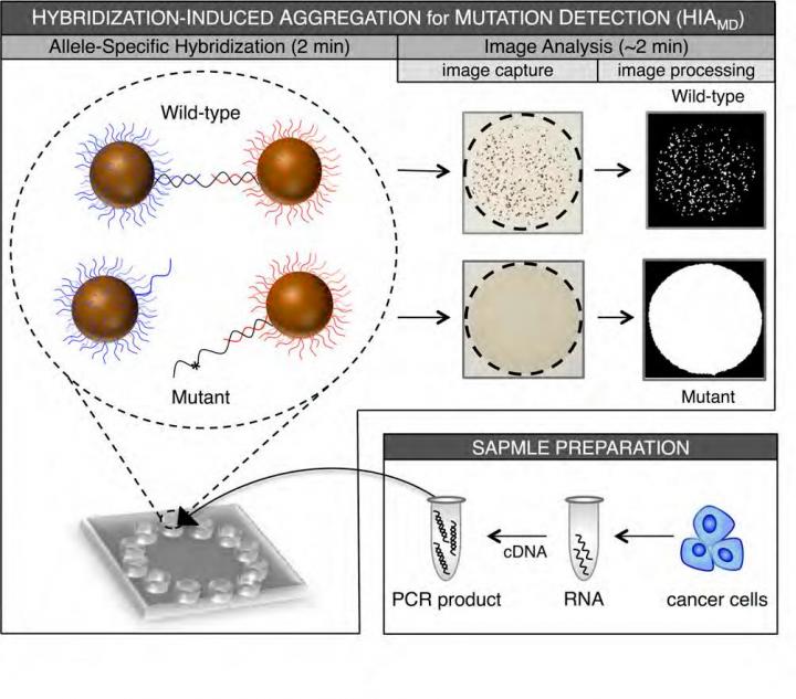 Implementing Mutation Testing For Legacy Systems – peerdh.com